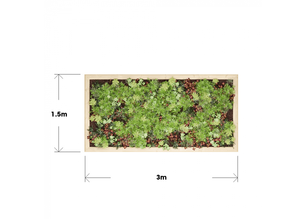 garden bed plan view