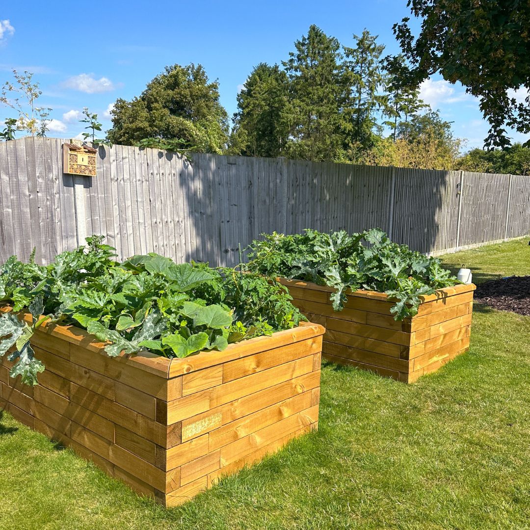 Gestaltungsideen – Verschönern Sie Ihren Garten mit einem hohen ...