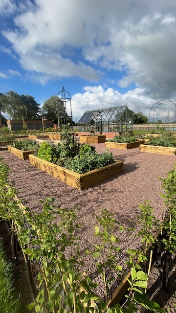 Steve's Kitchen Garden | WoodBlocX