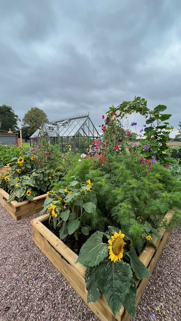 Steve's Kitchen Garden | WoodBlocX