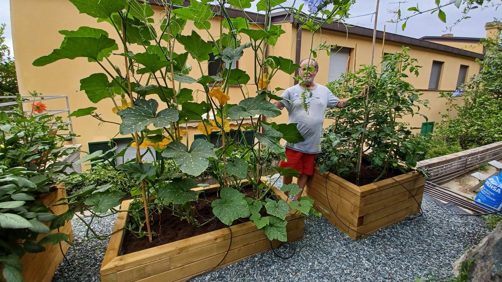 Marina's Mini Vegetable Garden | WoodBlocX